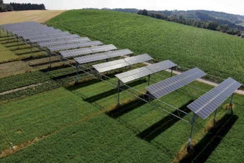 Explore the World of Agrivoltaics - Funding Regenerative Agriculture ...